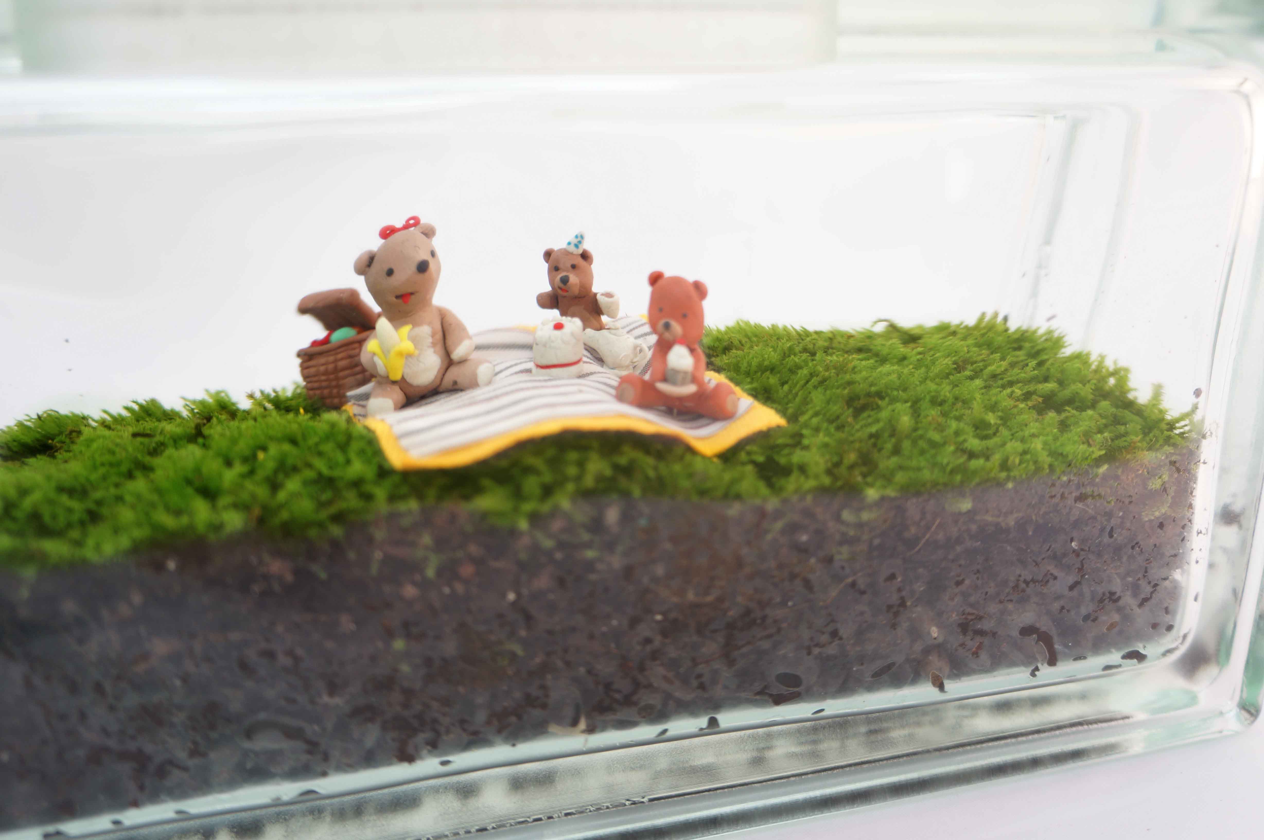 Making a miniature world with moss